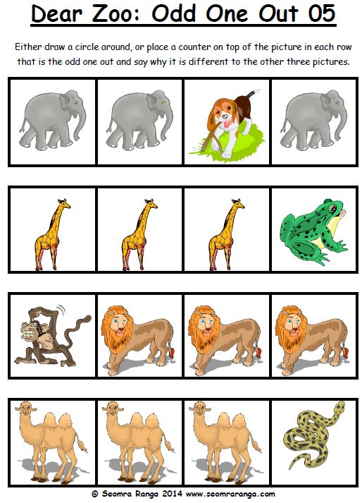 Dear Zoo Odd One Out Pack | Seomra Ranga