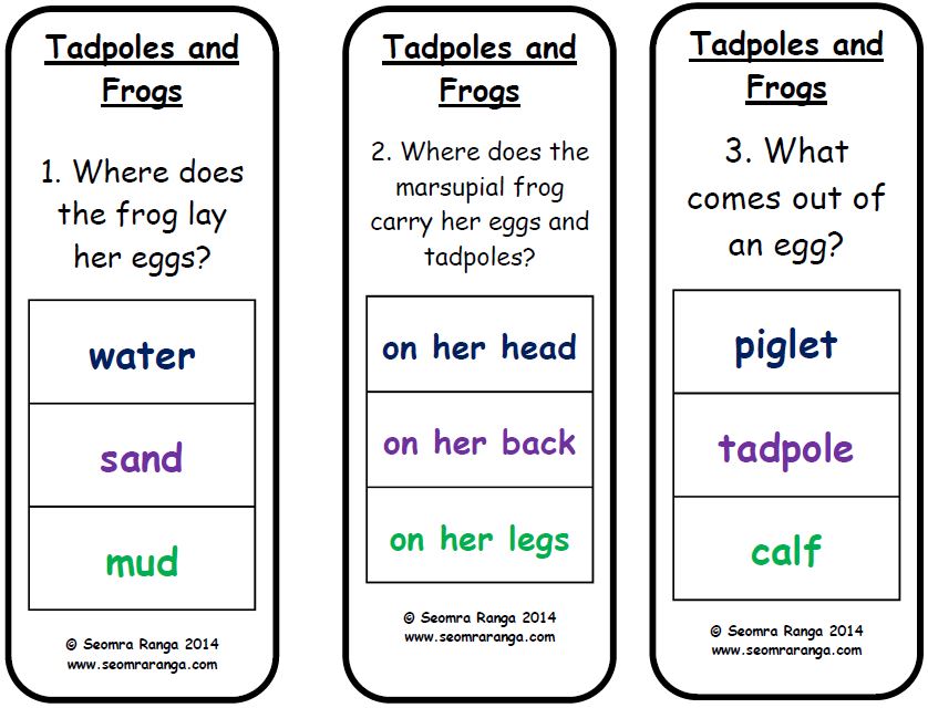 Peg Comprehension: Tadpoles and Frogs | Seomra Ranga