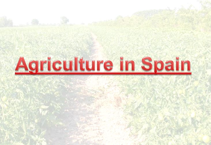 Agriculture in Spain | Seomra Ranga