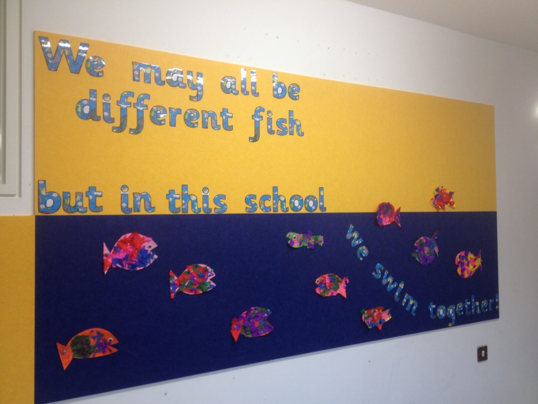 Resources on Instant Display Website | Seomra Ranga